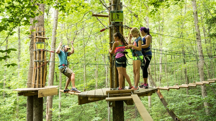 Go Ape | Blog | 6 Awesome Indy Park System Features