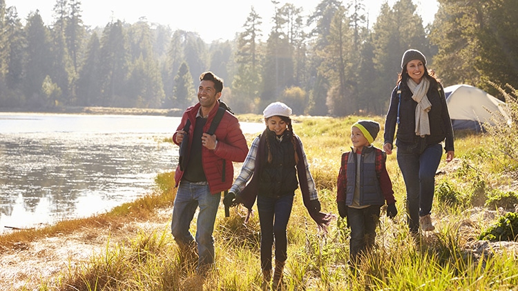 Go Ape | Blog | Perfect Outdoor Activities for the Fall Season