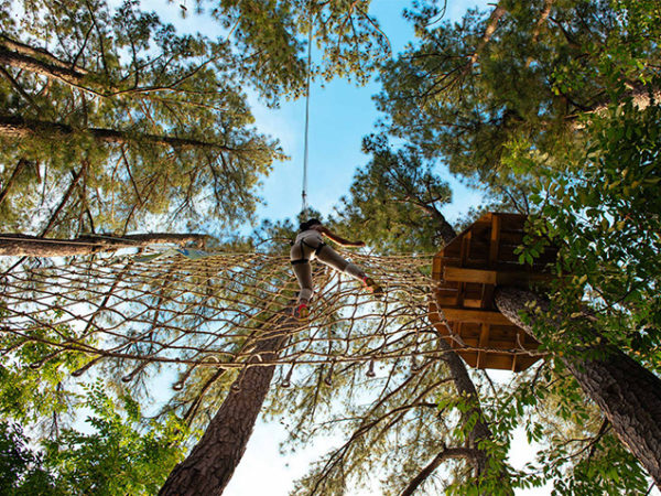 Zipline Memphis - Go Ape Zipline and Treetop Adventure