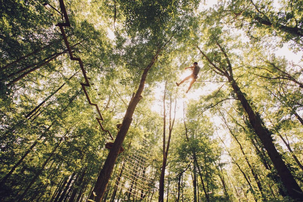 Go Ape | Zipline & Treetop Adventures | Group Info