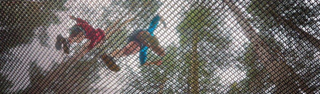 Go Ape | Our Adventures | Learn About Treetop Nets