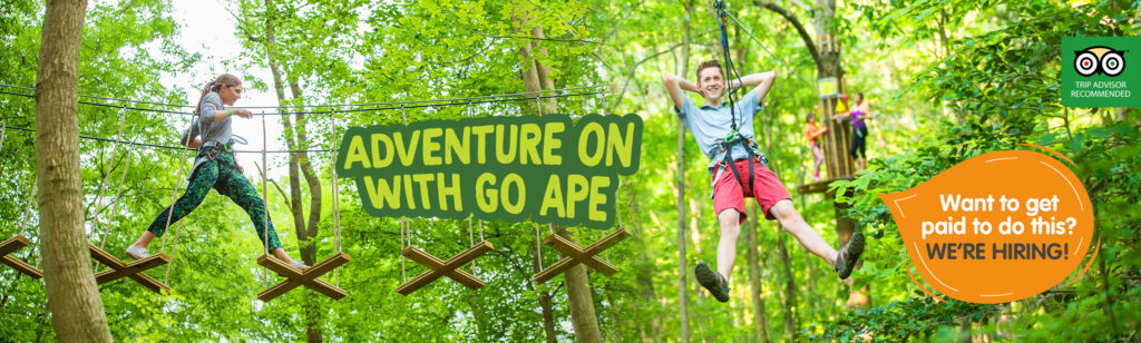 Go Ape | Book Your Zipline & Treetop Adventure Experience Today