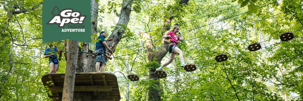 Go Ape | Book Your Zipline & Treetop Adventure Experience Today