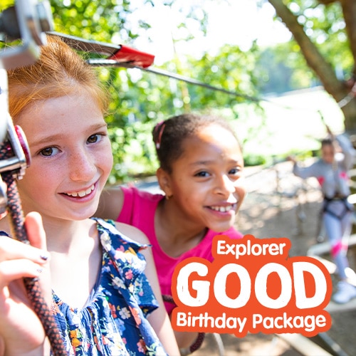 Go Ape Springfield, VA | Springfield Zipline | Adventure Park VA