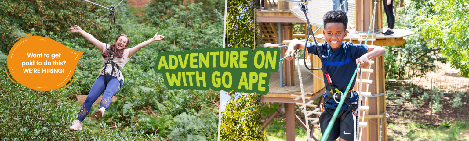Go Ape | Book Your Zipline & Treetop Adventure Experience Today
