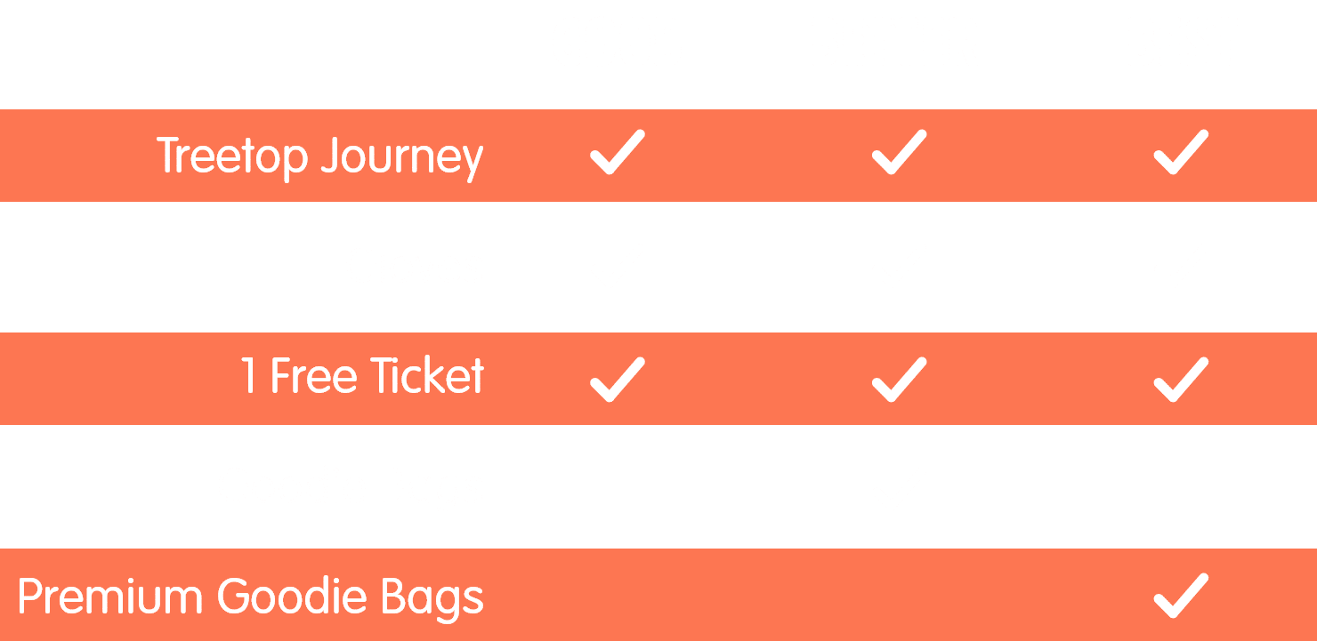 Adventure Park Birthday Party Packages | Outdoor Birthday