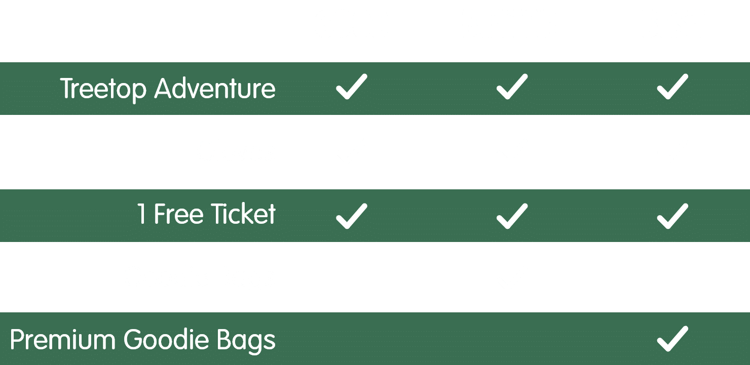 Adventure Park Birthday Party Packages | Outdoor Birthday