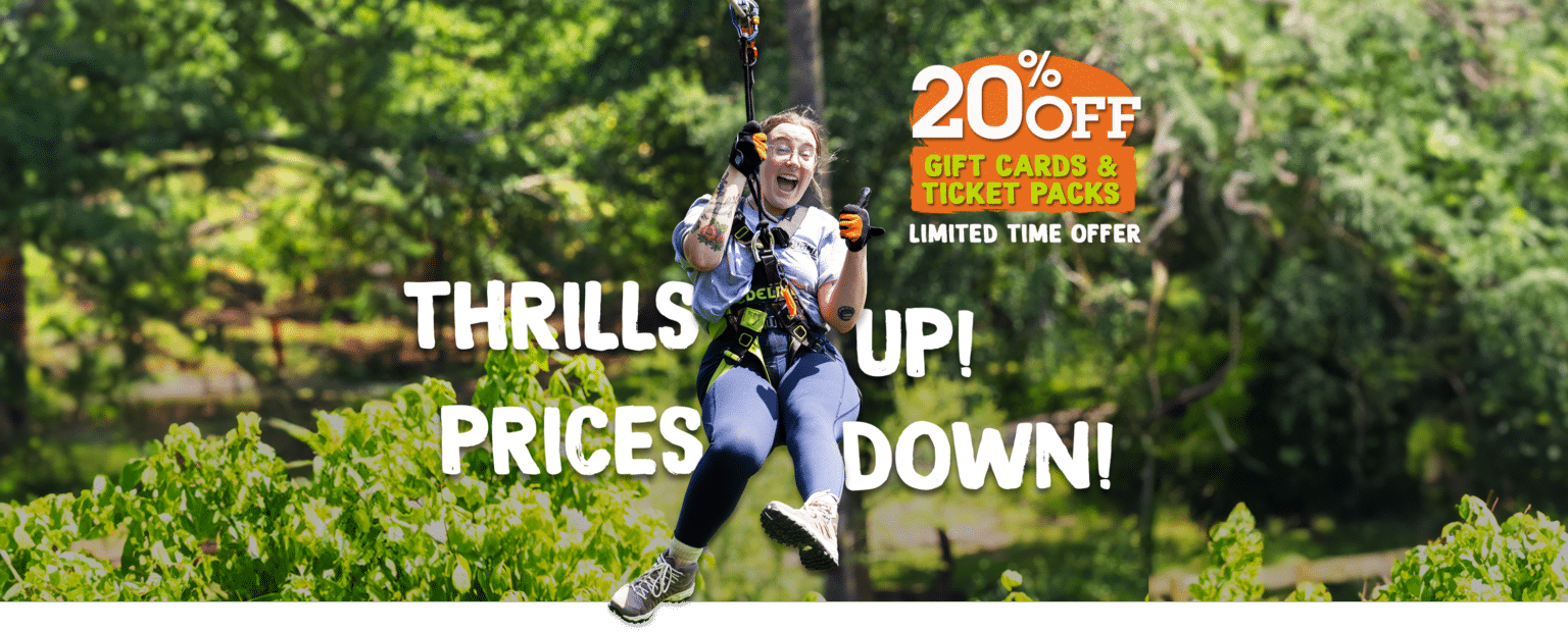 Zipline Indianapolis - Go Ape Zipline and Treetop Adventure