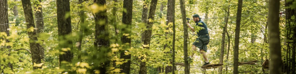 Blog - Go Ape Zip Line & Treetop Adventure